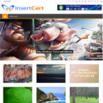 WordPress Theme Store - InsertCart